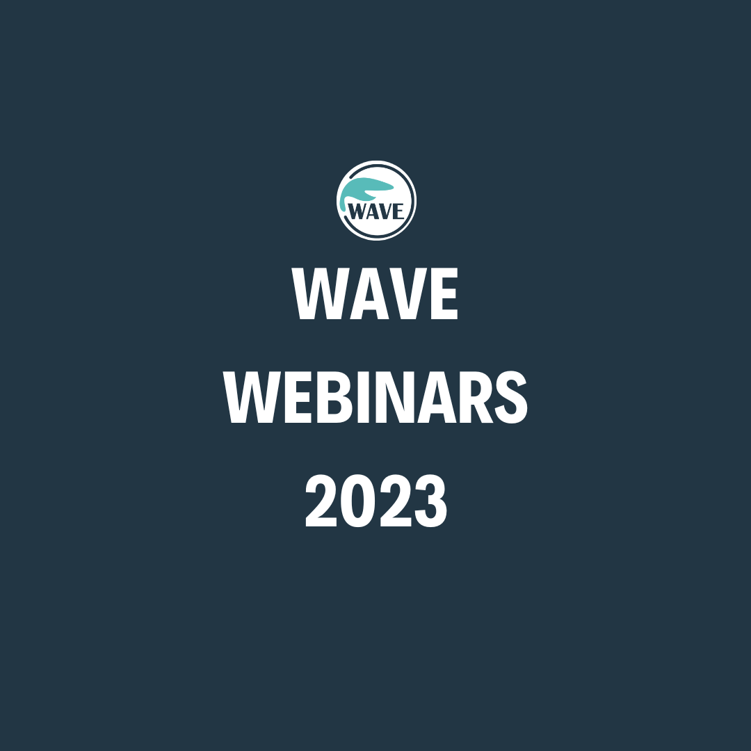 2.3 WAVE WEBINARS 2023 - WOMEN AGAINST VIOLENCE EUROPE